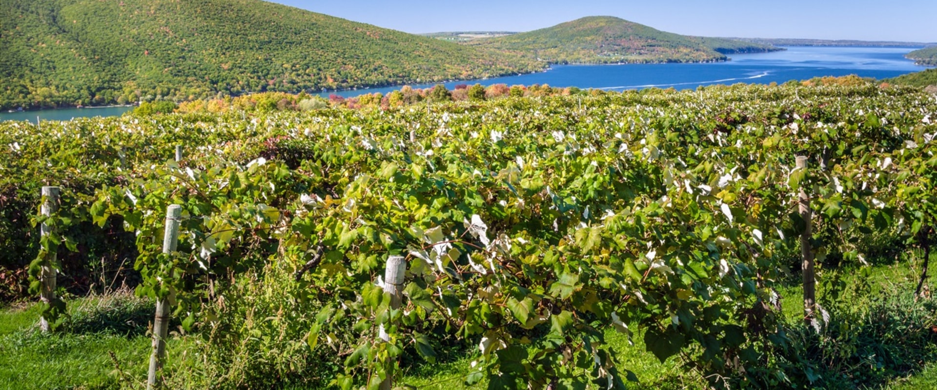 What is the oldest winery in the finger lakes?