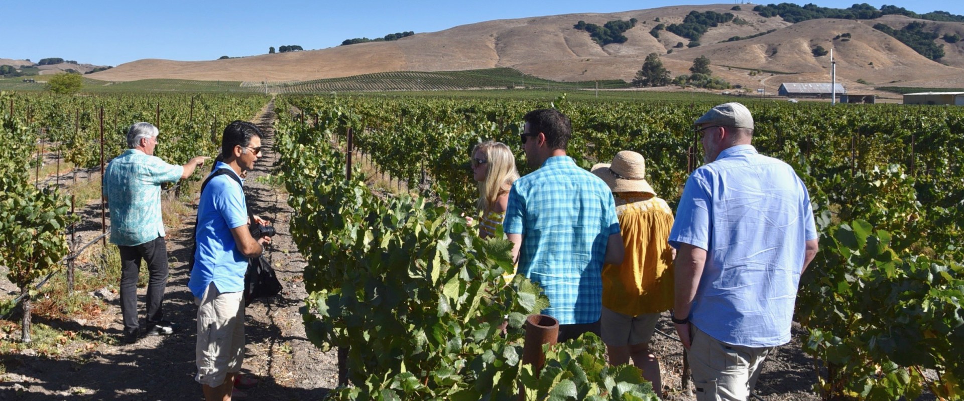 Exploring Vineyards: What to Expect on Your First Wine Tour